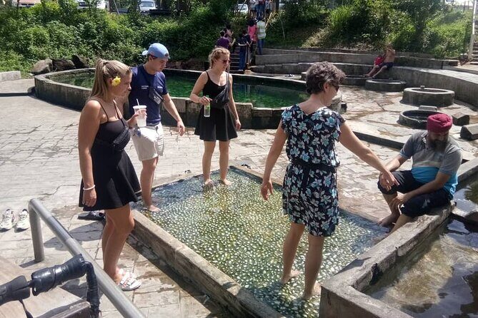 Nature Tour to Kuala Selangor Fireflies and Selayang Hotspring - An In-Depth Look at the Kuala Selangor Fireflies and Hot Springs Tour