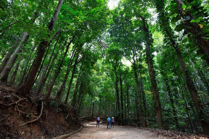 Nature Tour to Udawatte Kele Sanctuary, Kandy from Bentota - The Practical Side: What You Need to Know