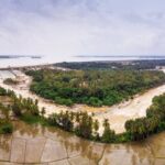 Nature Trails of Mysore (Guided Half Day City Sightseeing Tour) - From a Traveler’s Perspective: What’s in It for You?