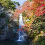 Nature Walk at Minoo Park, the Best Nature and Waterfall in Osaka - Who Should Consider This Tour?