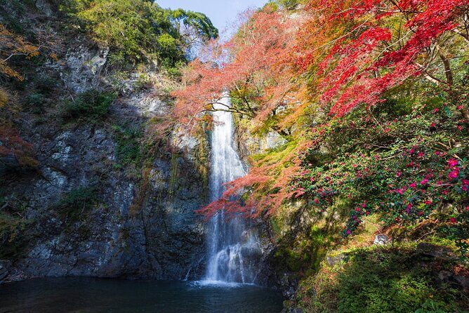 Nature Walk at Minoo Park, the Best Nature and Waterfall in Osaka - Who Should Consider This Tour?