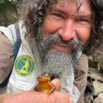 Nature Walk/Hike Tour near Disneyland: ID plants & wildlife - What Travelers Say