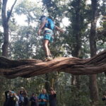 Nature Walk in Chitwan Jungle Safari with Guide - An In-Depth Look at the Chitwan Jungle Walk Experience