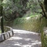 Nature Walk of Mussoorie (2 Hours Guided Walking Tour) - What to Expect and Why It Matters