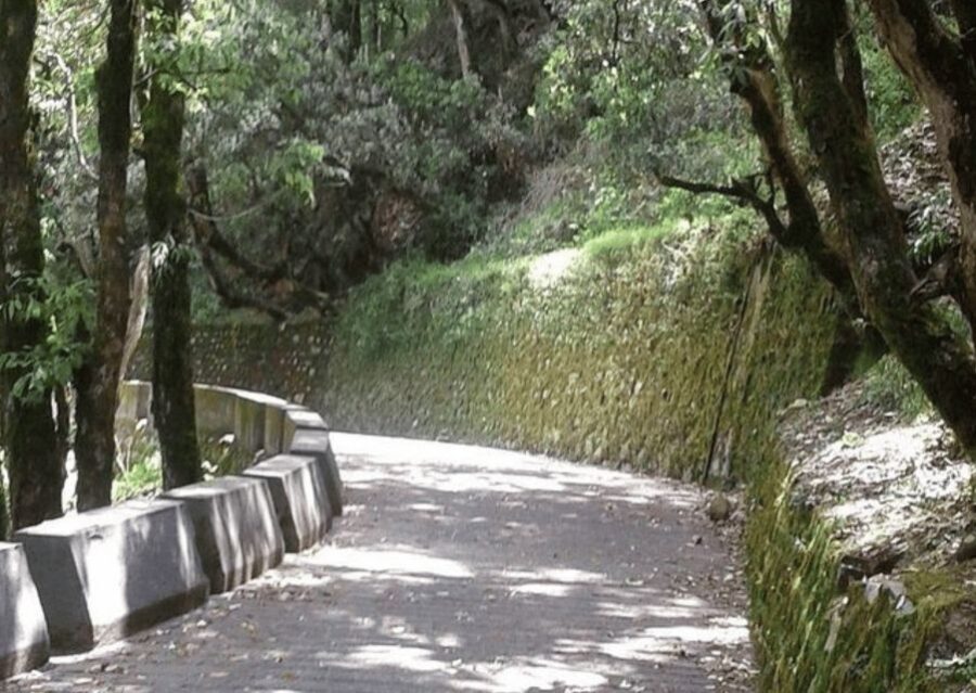 Nature Walk of Mussoorie (2 Hours Guided Walking Tour) - What to Expect and Why It Matters