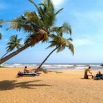 Negombo City Tour - Who Would Appreciate This Tour?