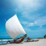Negombo: City Tour from Colombo - Detailed Breakdown of the Itinerary
