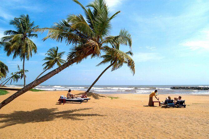 Negombo City Tour - Who Would Appreciate This Tour?