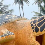 Negombo: Turtle hatchery, River safari, moon stone & Galle - The Itinerary in Detail