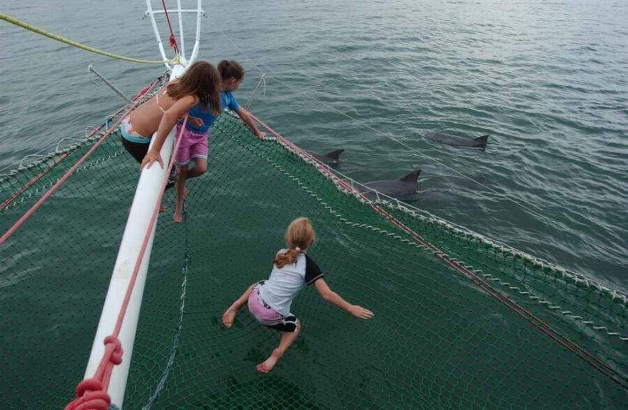 Nelson Bay: Dolphin Watch Cruise and Sail - An Overview of the Experience