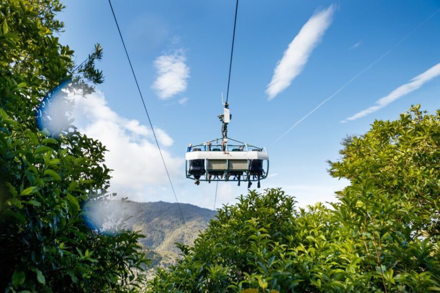 Nelson: Cable Bay Adventure Park Skywire Experience - What the Experience Feels Like