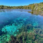 Nelson: Golden Bay in a Day Tour - Practical Details: Transportation, Pricing, and Timing