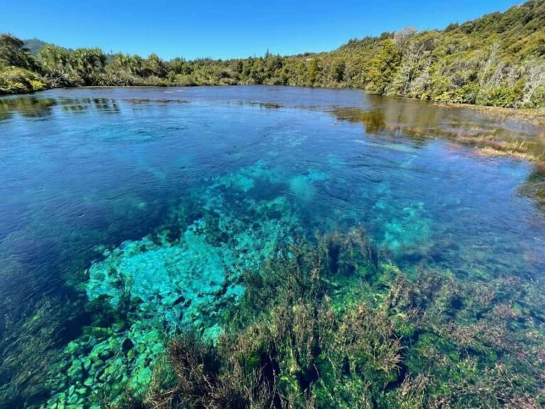 Nelson: Golden Bay in a Day Tour - Practical Details: Transportation, Pricing, and Timing