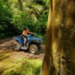 Nelson: Guided Quad Biking Tour Through Forest and Farmland - Why This Tour Works Well