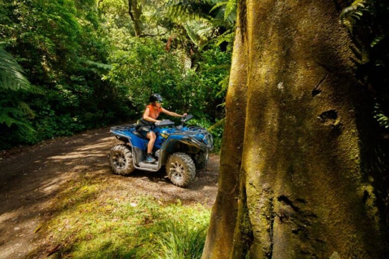 Nelson: Guided Quad Biking Tour Through Forest and Farmland - Why This Tour Works Well