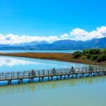 Nelson to Mapua: Full-Day Cycling Self-Guided Adventure - Who Is This Tour Best For?