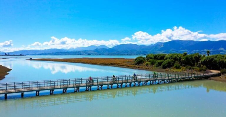 Nelson to Mapua: Full-Day Cycling Self-Guided Adventure - Who Is This Tour Best For?