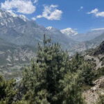 Nepal: Api Himal Trek to Base Camp - Price and Value