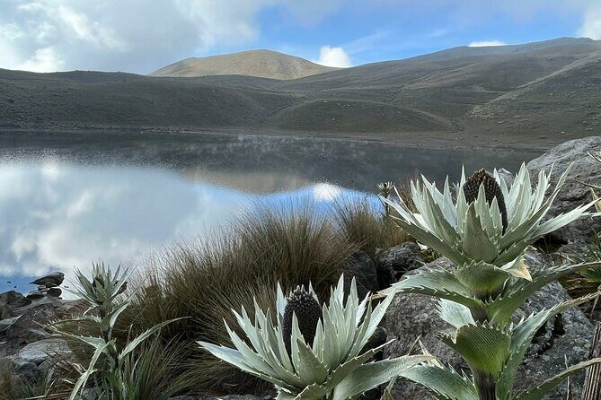 Nevado de Toluca Tour from Mexico City - An In-Depth Look at the Nevado de Toluca Tour