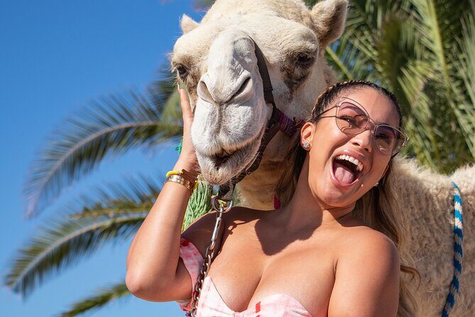 NEW! Combo Camel Beach Ride and UTV 4X4 Cabo Adventure, Tequila & - The Practicalities: Price, Duration, and What’s Included