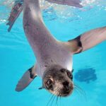 New England Aquarium Admission Ticket in Boston - Authentic Perspectives from Visitors
