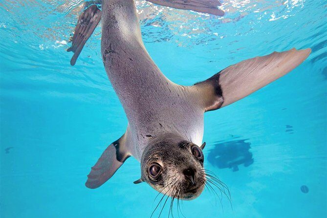 New England Aquarium Admission Ticket in Boston - Authentic Perspectives from Visitors