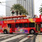 New Orleans: 2 or 3 Day Hop-On Hop-Off Bus with Walking Tour - Deep Dive into the Itinerary