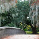 New Orleans Favorites and Creole Culture VIP Tour - Real Insights from Participants