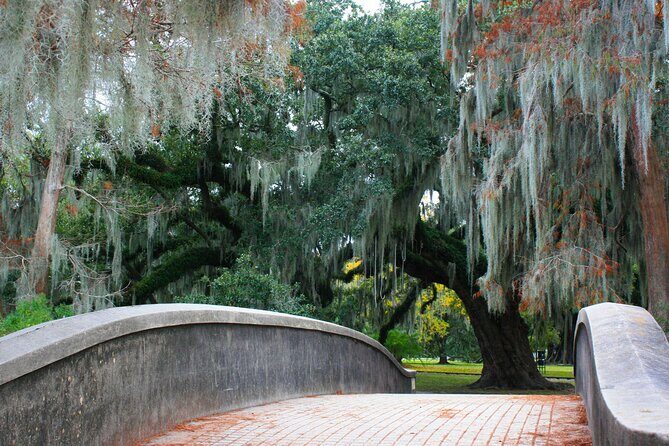 New Orleans Favorites and Creole Culture VIP Tour - Real Insights from Participants