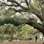 New Orleans Favorites Explore Beyond the French Quarter - Who Is This Tour For?