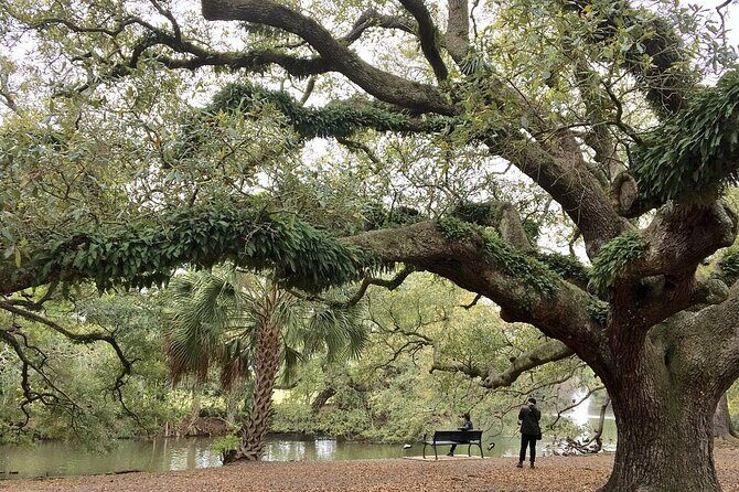 New Orleans Favorites Explore Beyond the French Quarter - Who Is This Tour For?