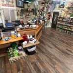 New Orleans Manchac Bayou Swamp Cruise W/ Optional Pick-Up - FAQ