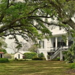 New Orleans: St. Joseph and Felicity Plantation Guided Tour - Introduction: What to Expect from the Tour
