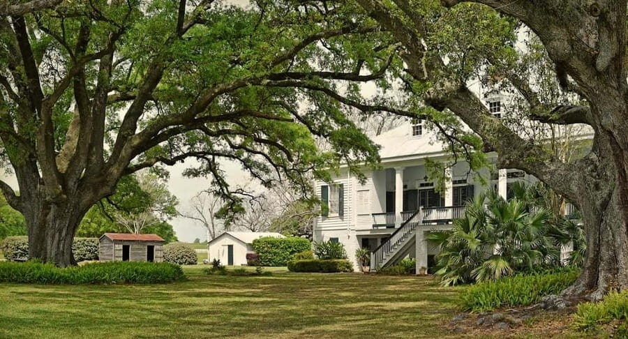 New Orleans: St. Joseph and Felicity Plantation Guided Tour - Introduction: What to Expect from the Tour