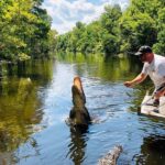 New Orleans: Swamp Boat Ride & Oak Alley Plantation Tour - A Closer Look at the Itinerary