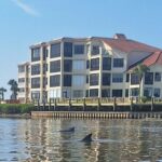 New Smyrna Mangrove Paddle & Mimosa Tour - Who Will Love This Tour?