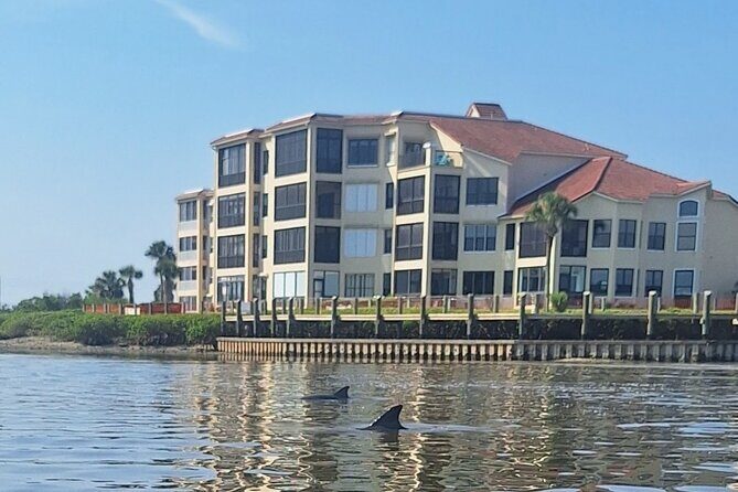 New Smyrna Mangrove Paddle & Mimosa Tour - Who Will Love This Tour?