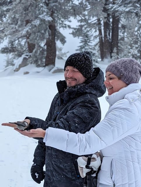 New Washoe City: Chickadee Ridge Beginner Snowshoeing Hike - Exploring the Details: What to Expect on the Chickadee Ridge Snowshoe Tour