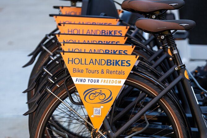 New York Central Park Premium Electric Bike Rental - What Travelers Can Expect: A Deep Dive