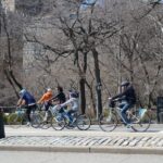New York City: Central Park Bike Tour - The Practical Side: Cost, Timing, and Group Size