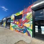 New York City: The Ultimate Brooklyn Speed Thrifting Tour - The Stores: What Makes Them Special