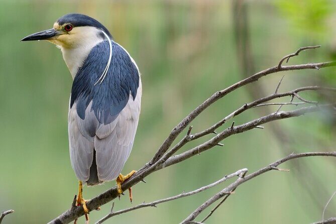 New York Urban Wildlife Sunset Boat Tour - Who Should Consider This Tour?