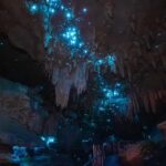 New Zealand: Milky Way Glowworm Cave Tour - The Itinerary: What You Can Expect During Your Visit