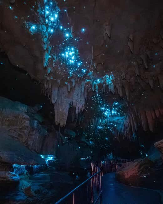 New Zealand: Milky Way Glowworm Cave Tour - The Itinerary: What You Can Expect During Your Visit