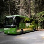 New Zealand: National Hop-On Hop-Off Pass - How the Journey Unfolds