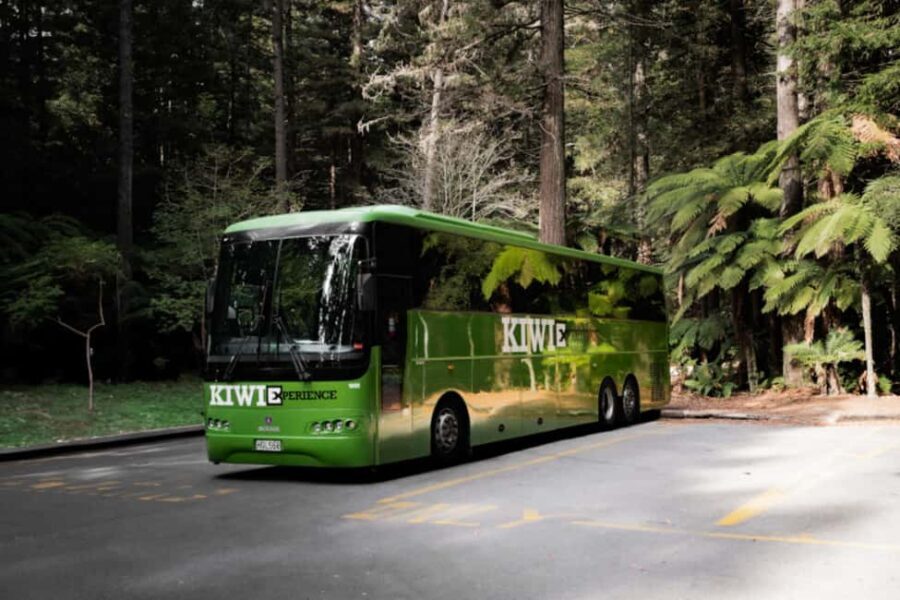 New Zealand: National Hop-On Hop-Off Pass - How the Journey Unfolds