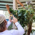 Newcastle: Animal Lovers Tour - Kangaroos, Dolphins & more! - Diving Into the Itinerary
