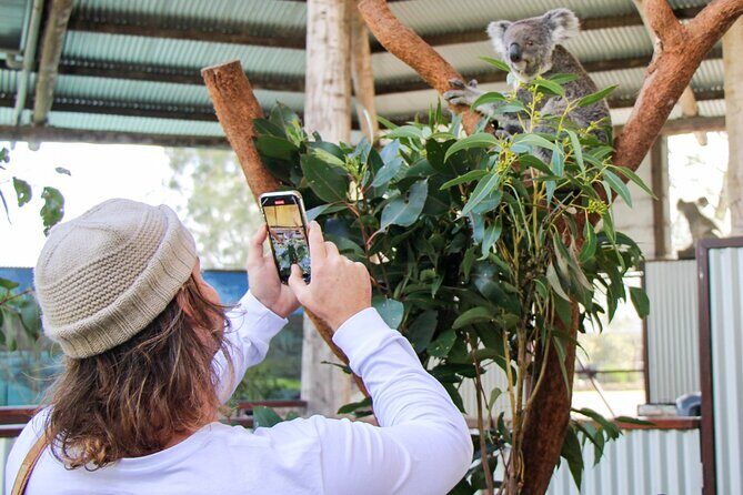 Newcastle: Animal Lovers Tour - Kangaroos, Dolphins & more! - Diving Into the Itinerary