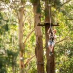 Newcastle: Tree Ropes Course Adventure - A Closer Look at the Experience
