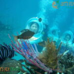 Nha Trang City Scuba Diving Adventure & Seaside Tour - Lunch with a View and Beachside Relaxing